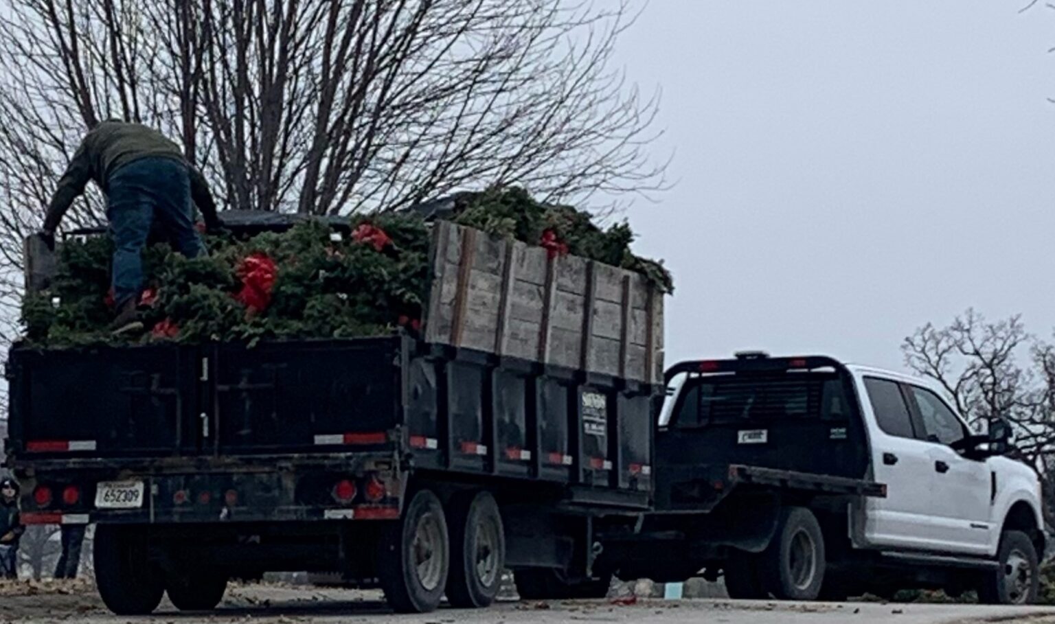 Wright Tree Service || cleanup_cropped