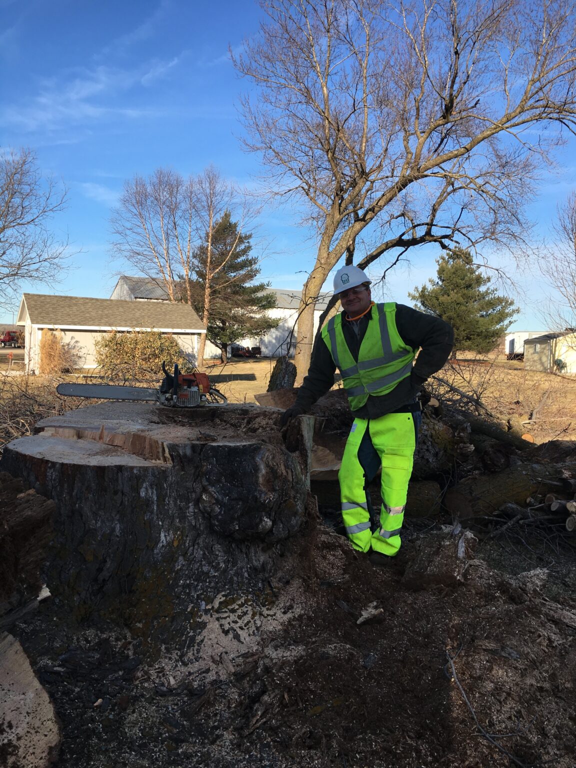 Wright Tree Service || Mitch Frye Photo in PPE